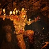 Every Mutant in STALKER 2: Full Guide (Including Scrapped Designs ...