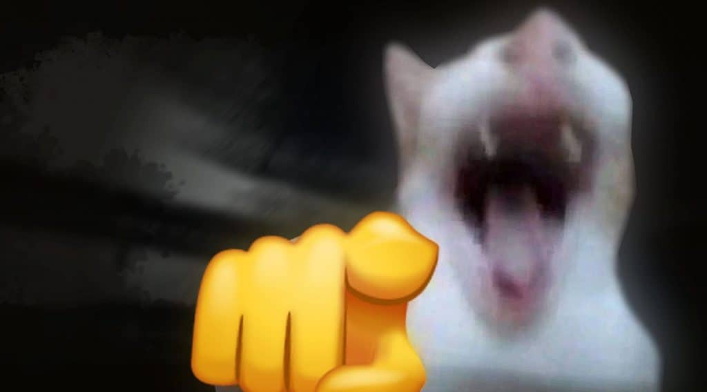 Laughing Cat Death Screen | Stalker 2 Mod