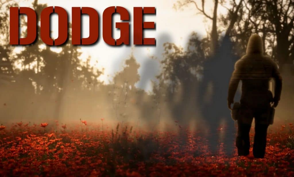 Dodge | Stalker 2 Mod